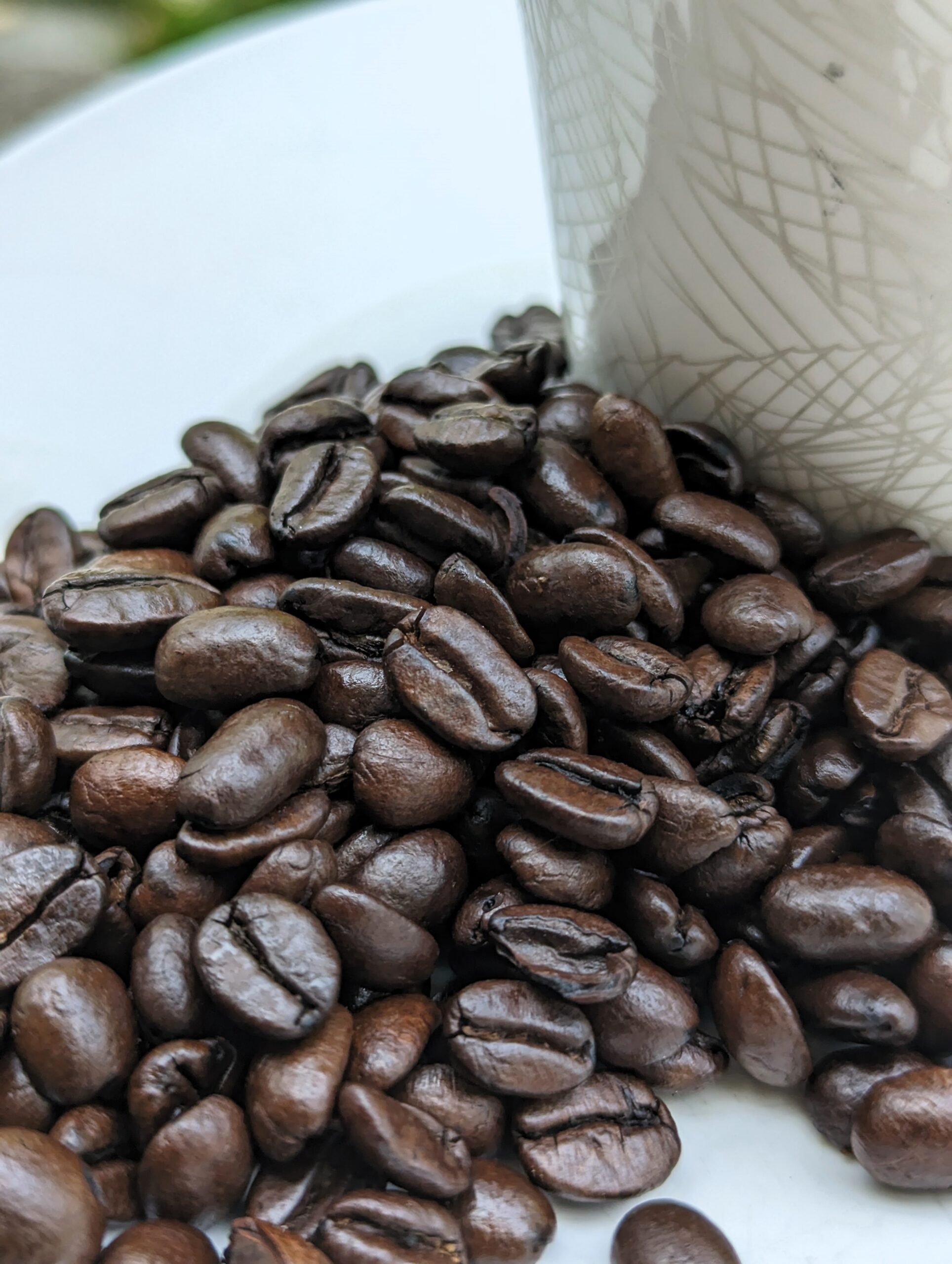 Smoked Coffee Beans - What's Smoking