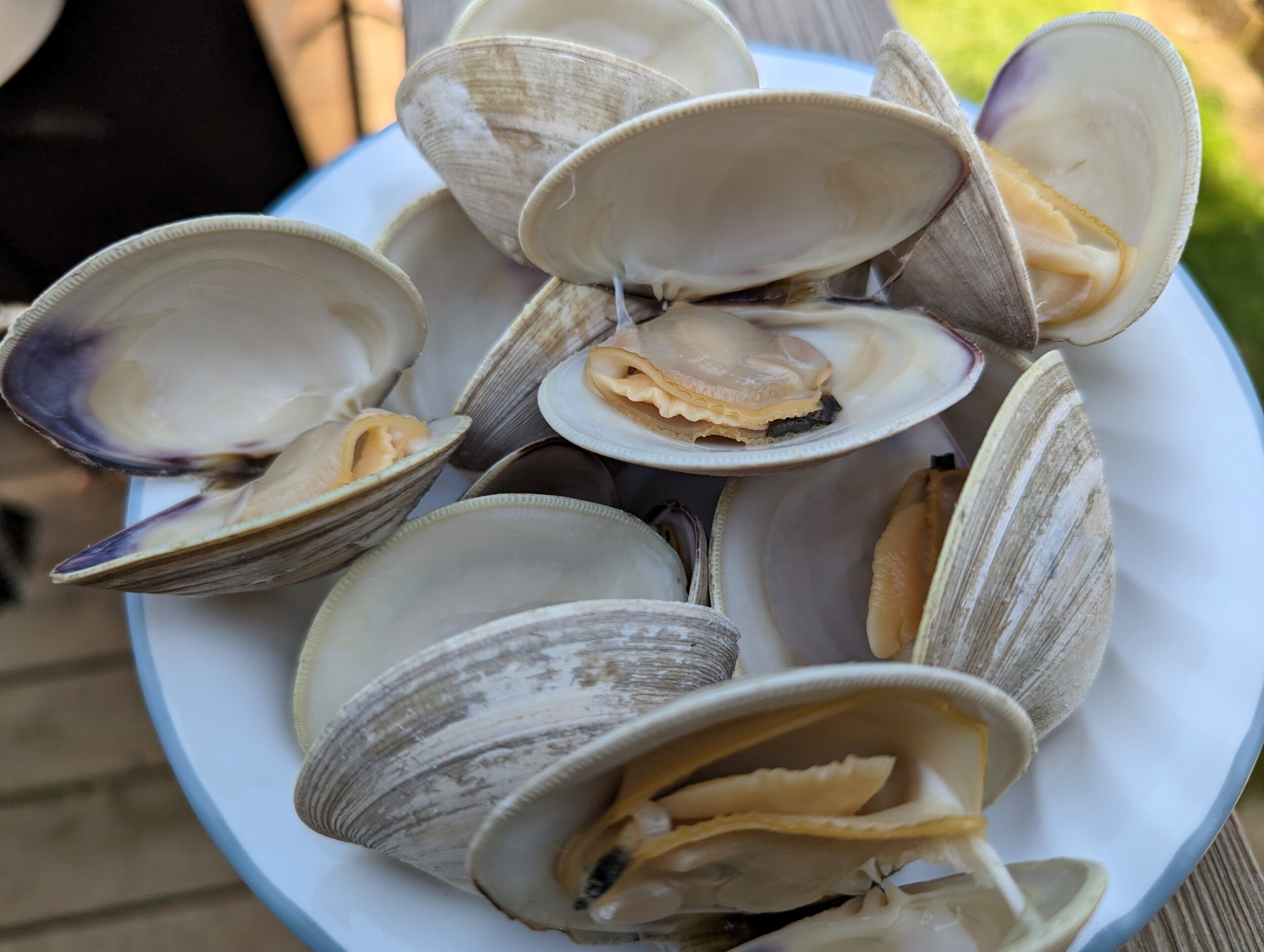 Clams On The Grill - What's Smoking